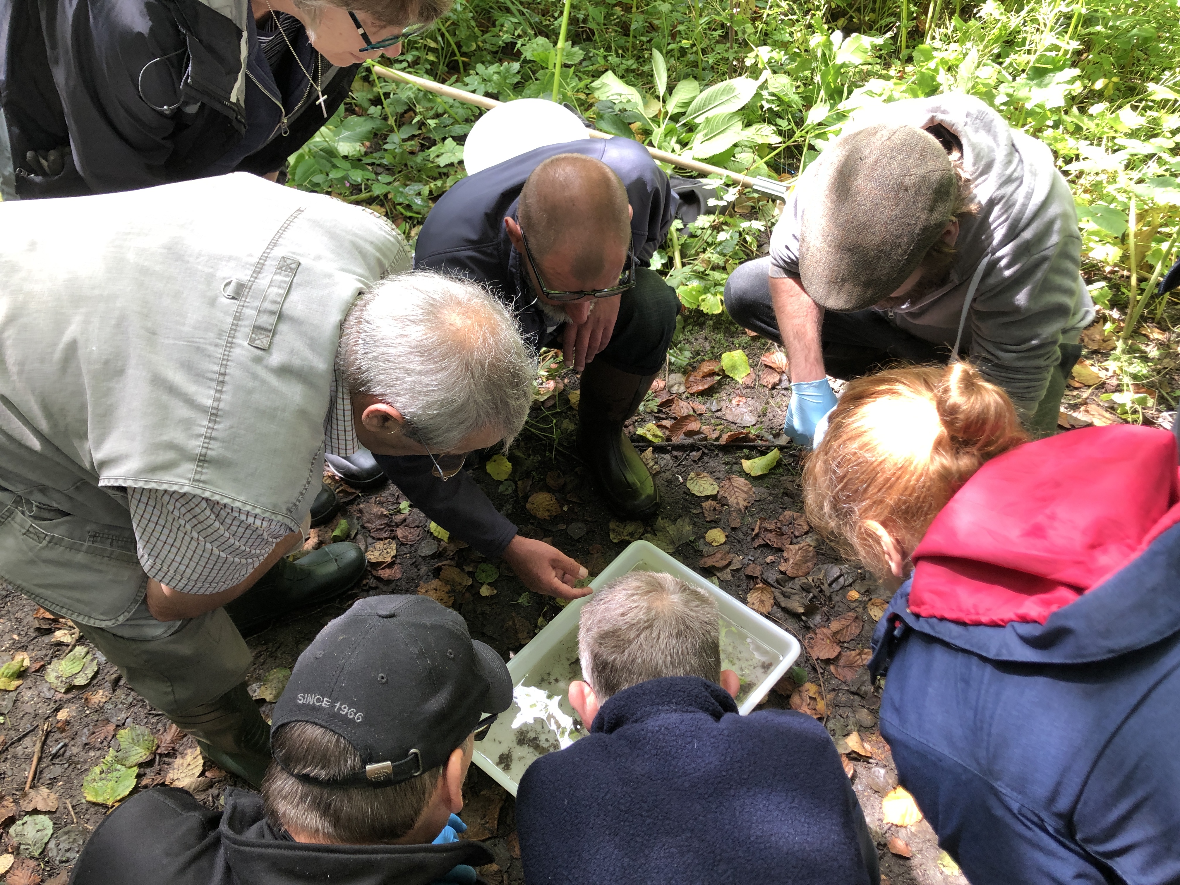 Citizen Science: Riverfly | Mersey Rivers Trust
